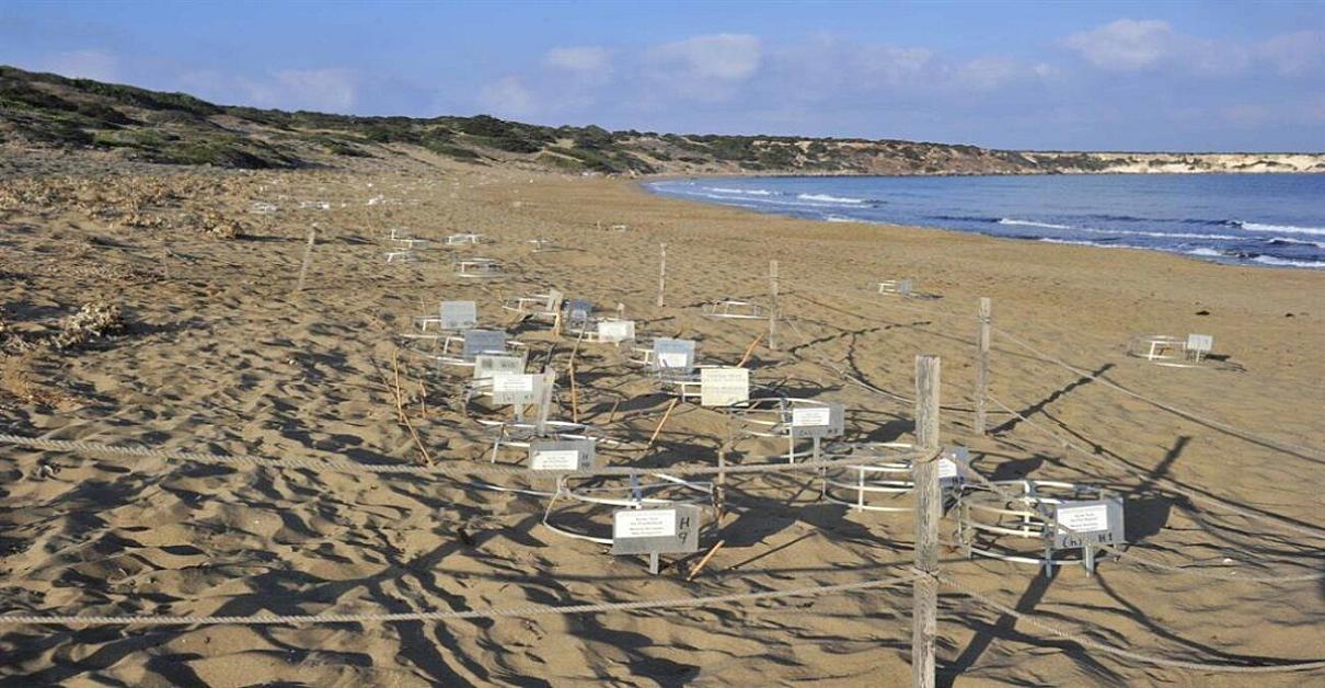 Υπ. Γεωργίας: Δεν θα γίνει αποδεκτό να υπάρξουν ομπρέλες ή κρεβατάκια στη Λάρα - Sigmalive